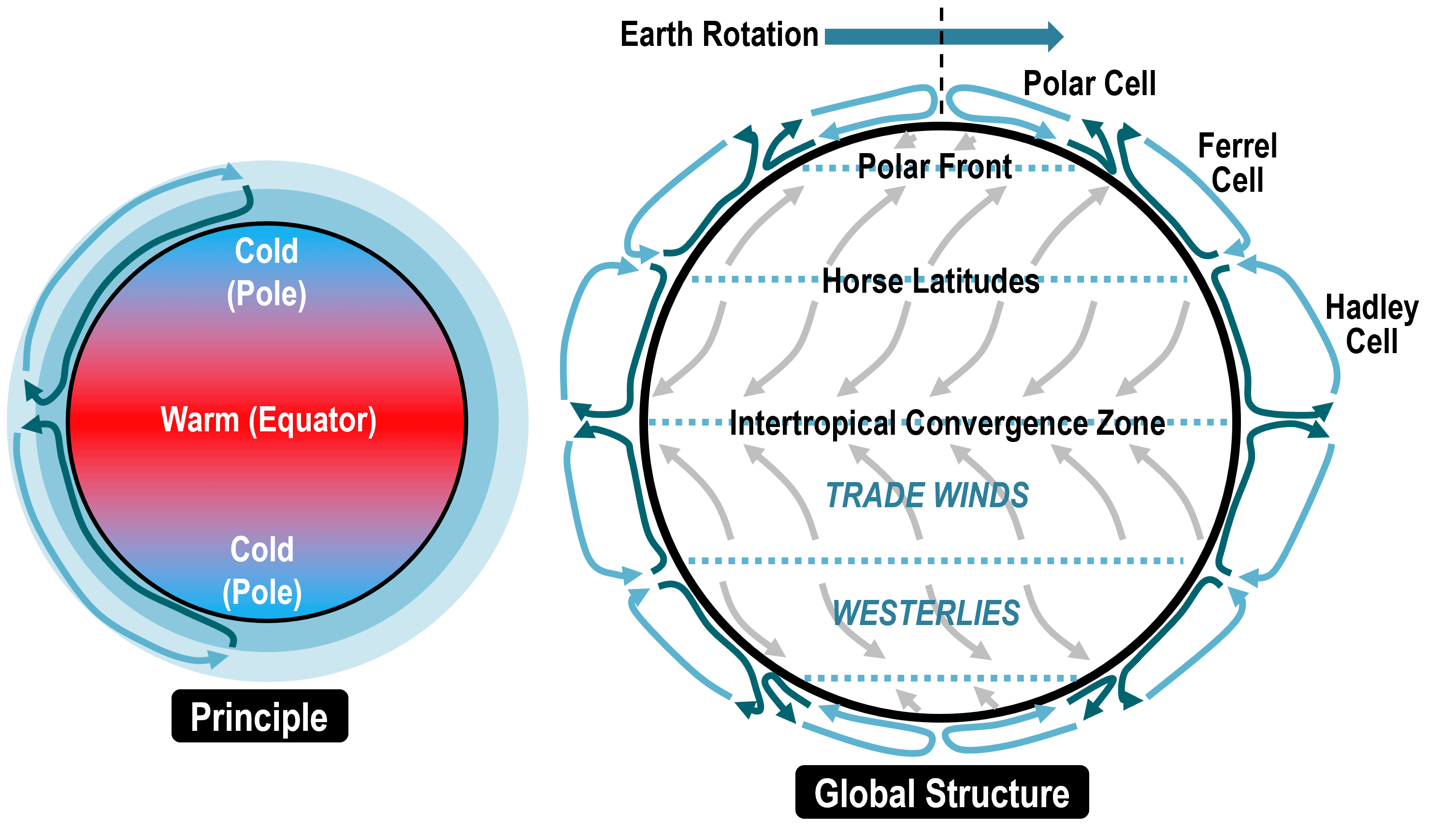 Global Wind Circulations Wind Patterns The Global Circulation Of